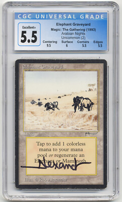 Graded Signed Altered Elephant Graveyard Arabian Nights Artist Rob ...