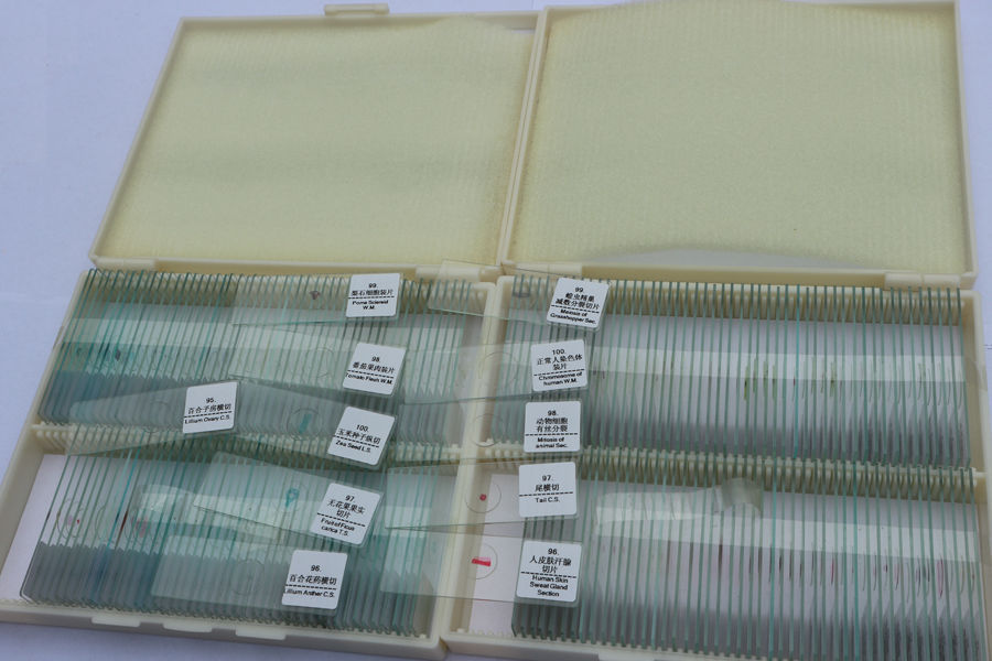 Prepared Microscope Slides Specimen Glass Set with Plastic Storage Box ...