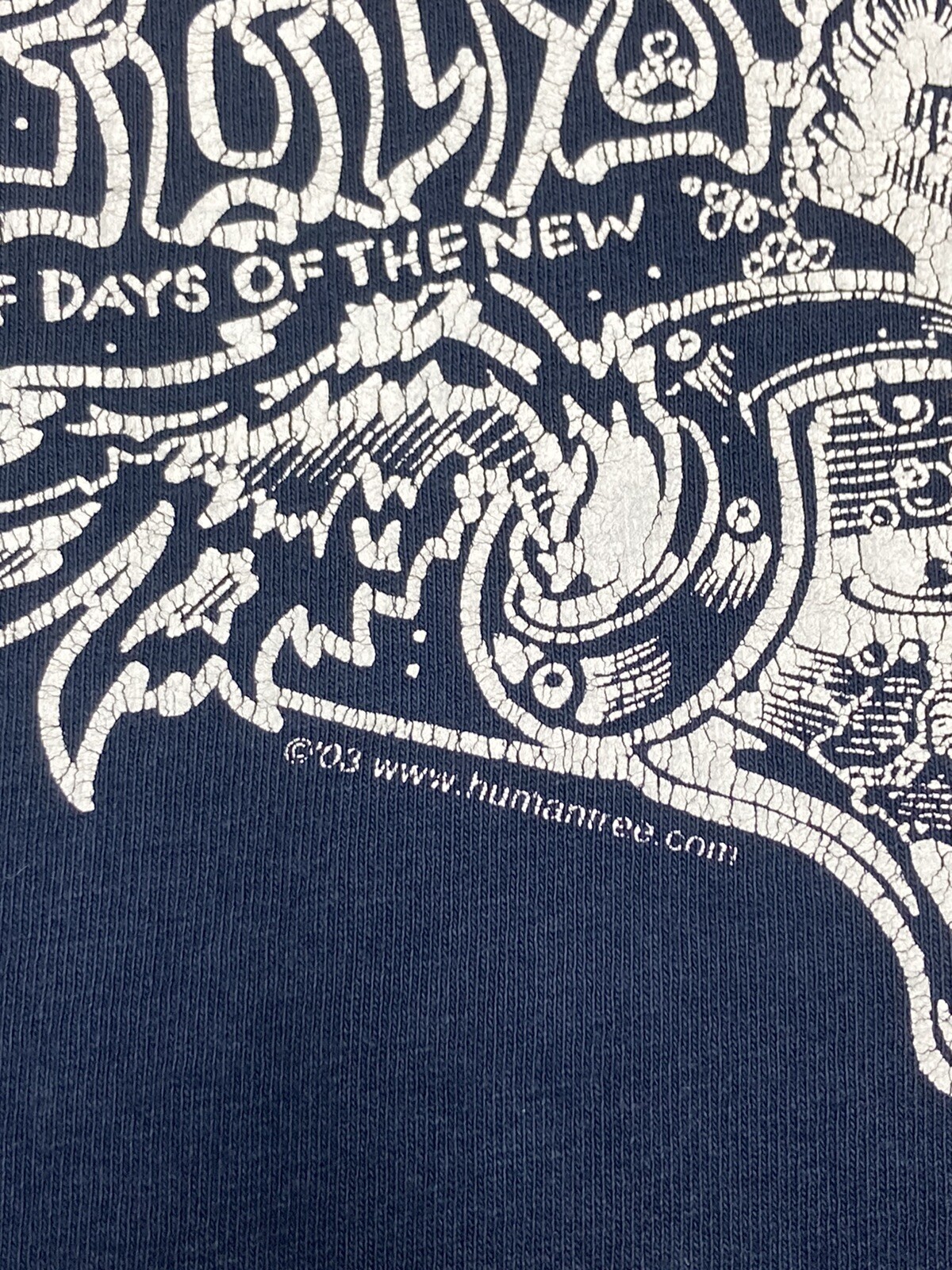 Vintage Travis Meeks days of the new band tee shirt a… - Gem