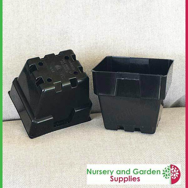 100mm SQUARE SQUAT Punnet Plant Pot Black - QTY 480. Plants, Flowers ...