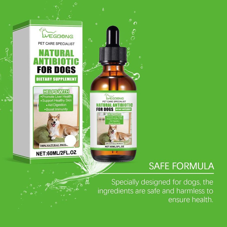 Dog Antibiotics, Antibiotics for Dogs, Natural Dog Antibiotics Drops ...