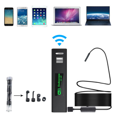 Endoscopes - Endoscope Model