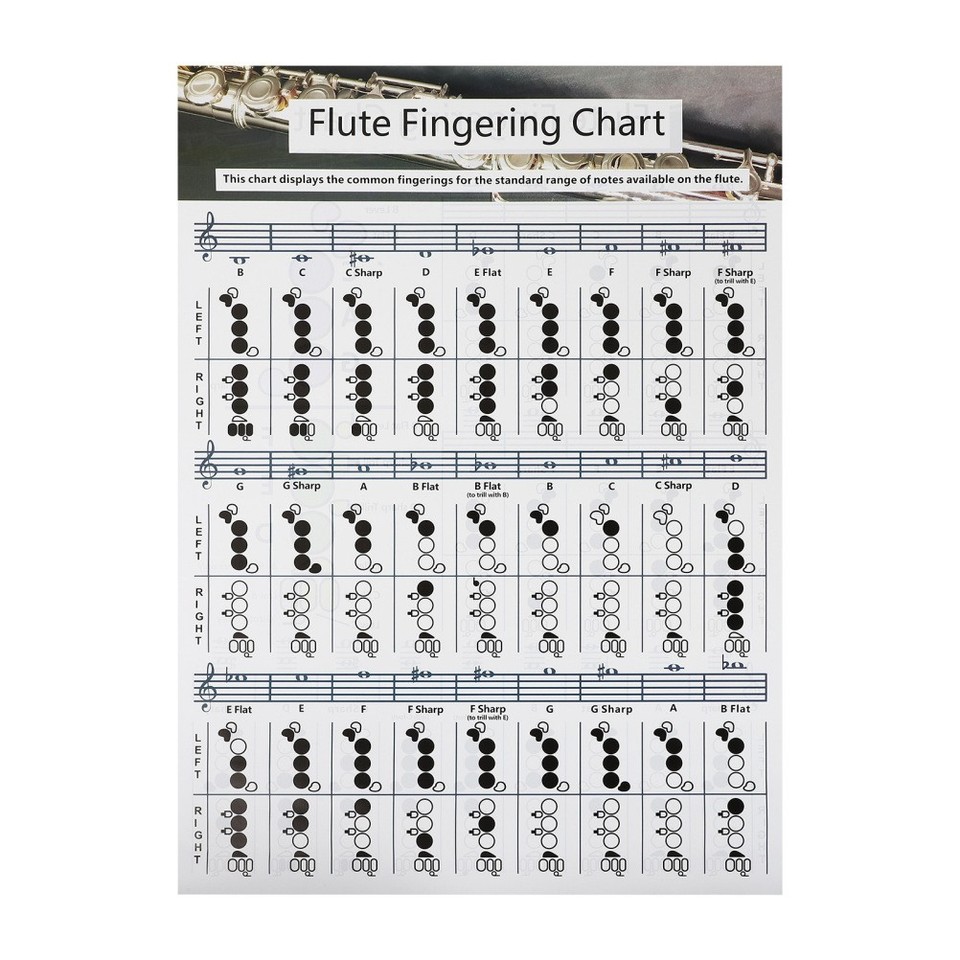 Flute Chord Learning Guide Flute Reference Chord Poster Chart | eBay UK
