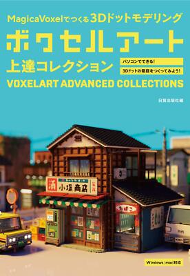 Voxel Art Advanced Collections Improvement Books 3D dot modeling with MagicaVoxe | eBay