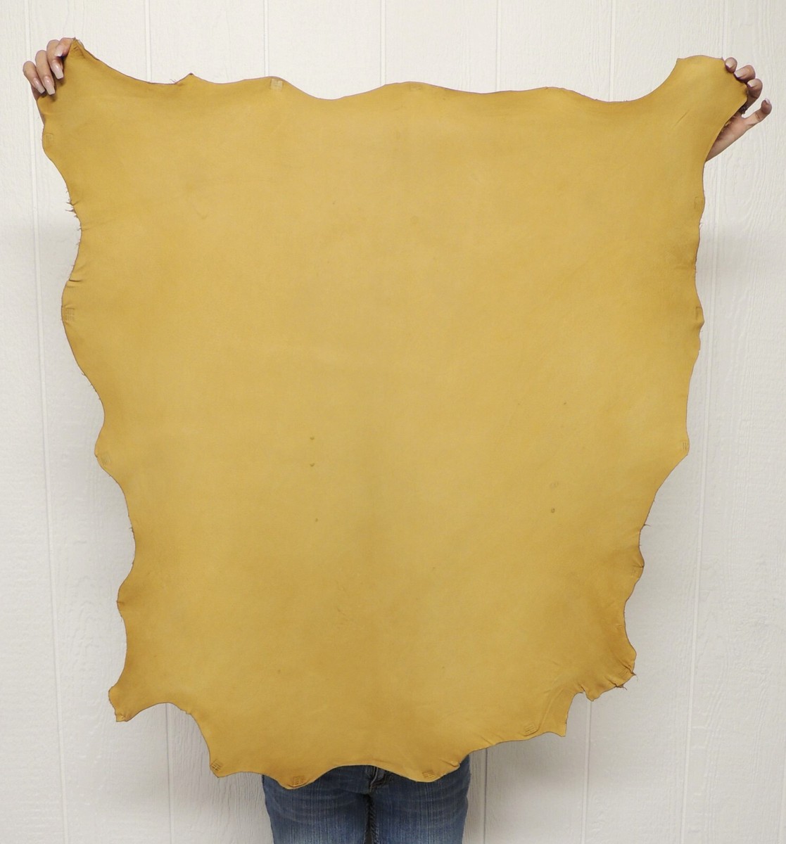 Native American Parchment