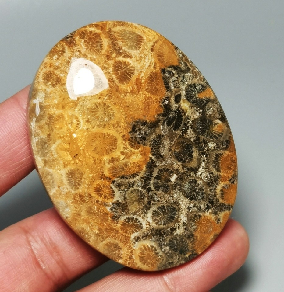 Collection ! Amazing Coral Jade Palm Jasper Reiki Stone Healing | eBay