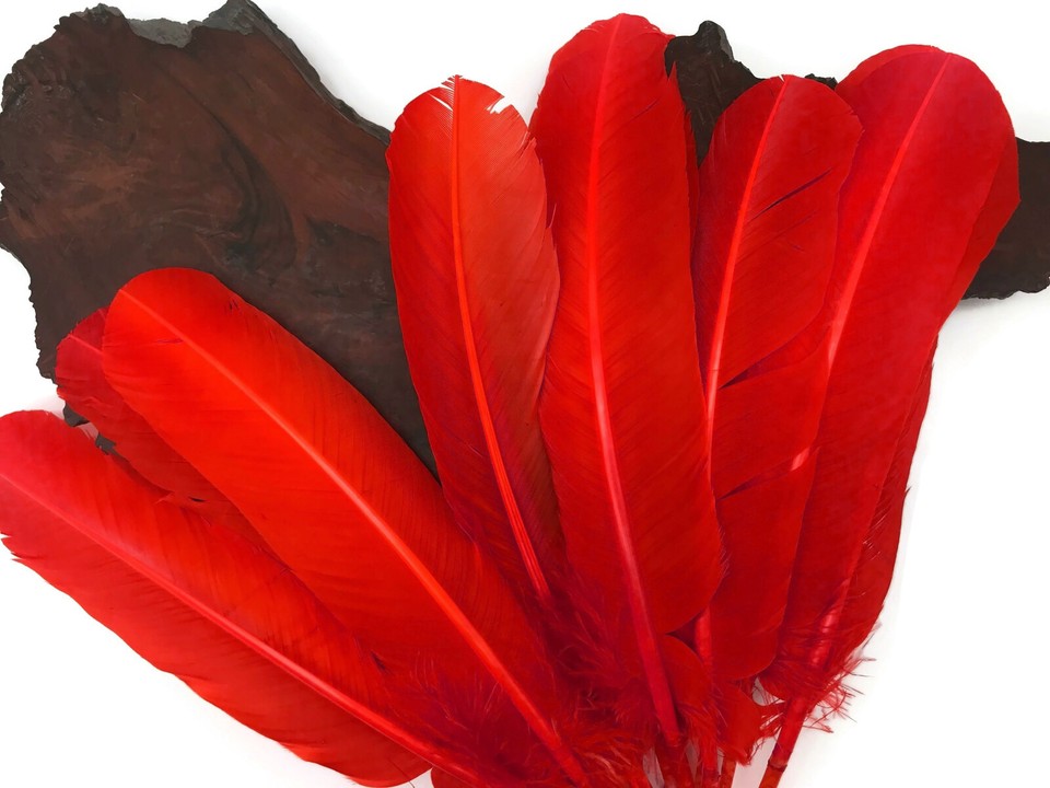 6 Pieces - Red Turkey Rounds Secondary Large Wing Quill Feathers Craft ...