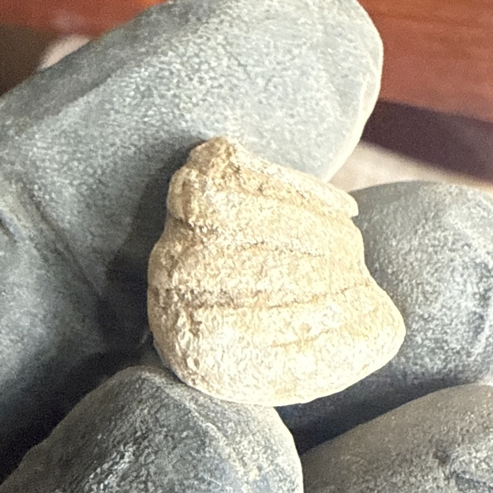 Dug Civil War 💥 🇺🇸 💣 Fired Confederate Ringtail Sharps Bullet Hard ...