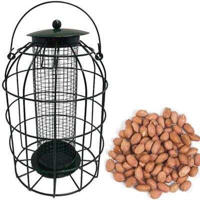 Bird Peanut Feeder Squirrel Proof Wild Bird Care Feed Garden Hanging ...