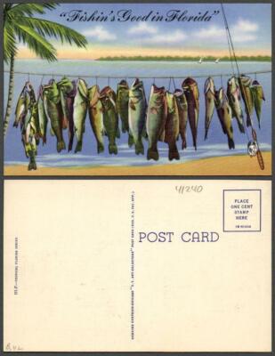 VINTAGE POSTCARD TOPIC: Fishing | eBay