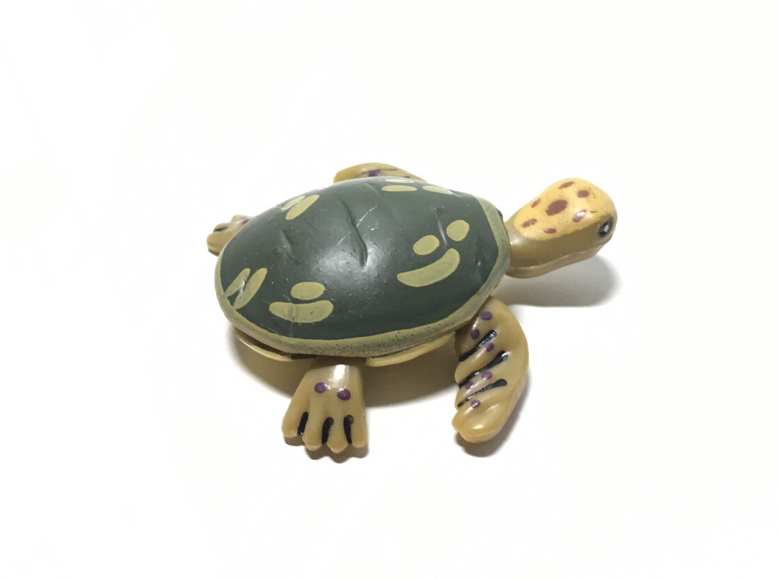 Yowies Turtle