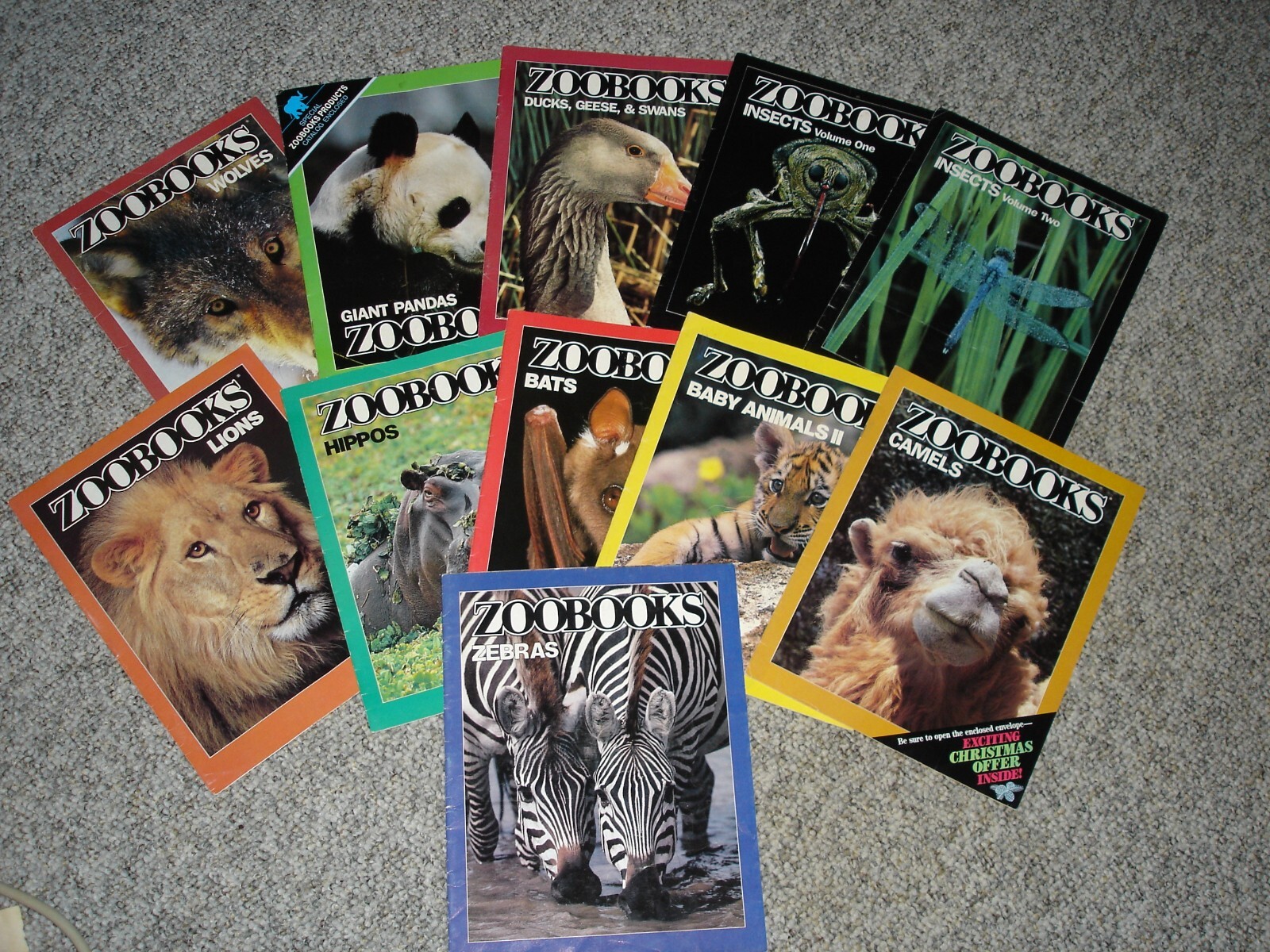 lot (11) Vintage ZooBooks Magazines 1989 Wolves, Pandas, Zebras, Lions ...