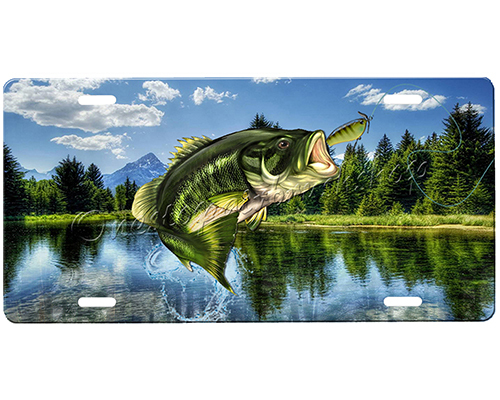 Bass Fishing license plate | eBay