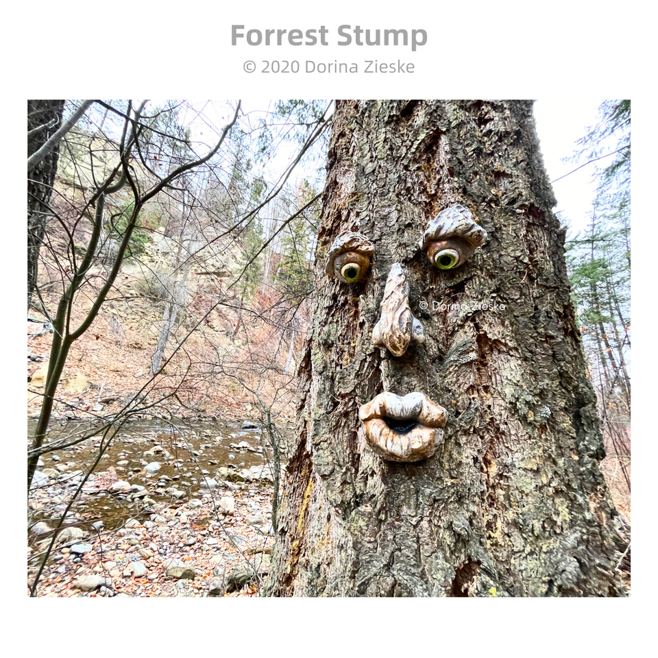 "Forrest Stump" Concrete Whimsical Forest Face by Dorina Zieske Art | eBay