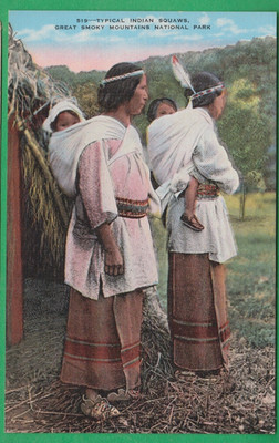 Typical Indian squaws and papooses/ Great Smoky Mountains/ linen ...