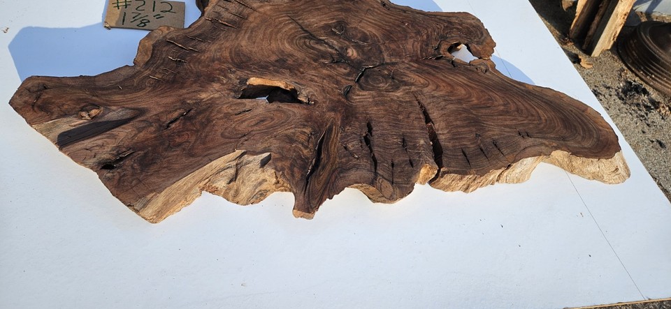 Claro Black Walnut stump/root slab, insane grain, Burl spilkes, organic ...