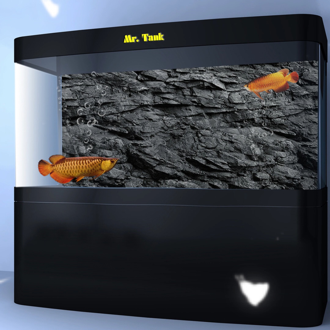 Custom Aquarium Backgrounds