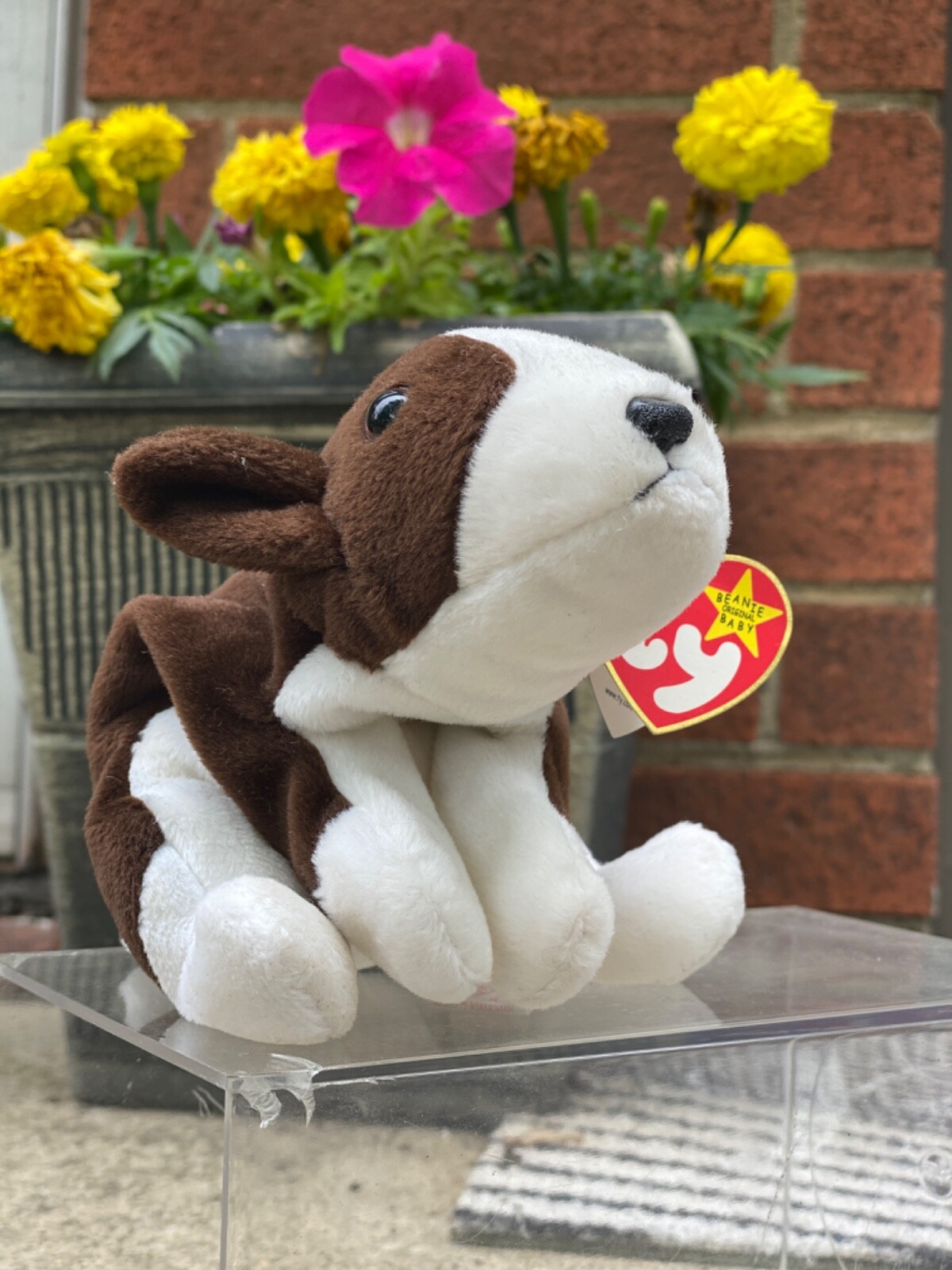 1997 Bruno Ty Beanie Baby | eBay