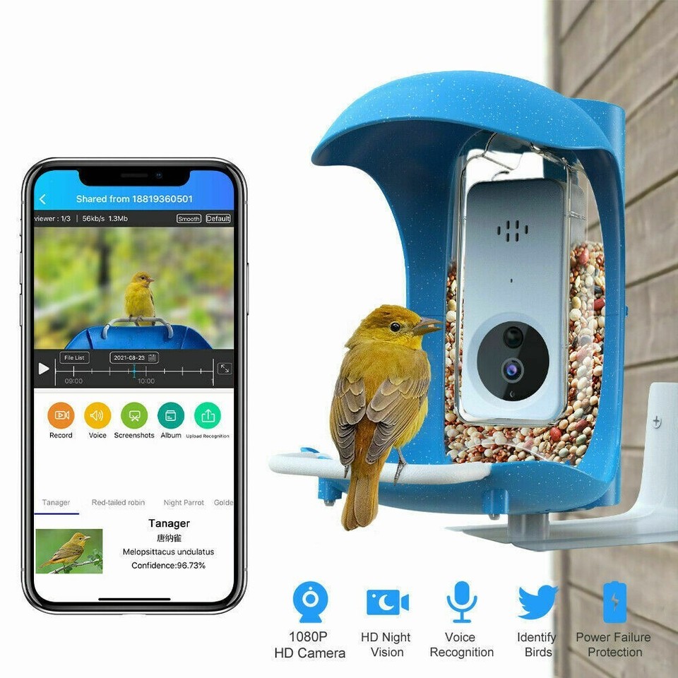 Birddock Smart Bird Feeder W.Camera HD 1080p Video Ai-Recognition | eBay
