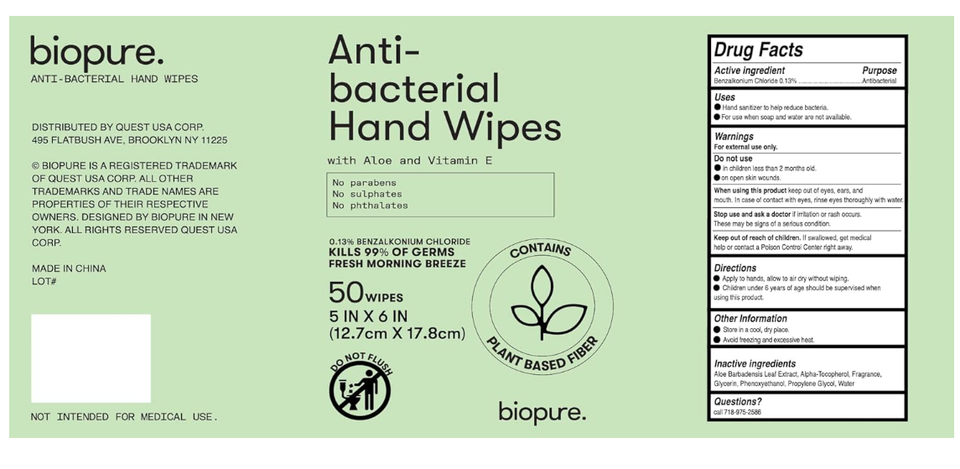 Biopure Anti-Bacterial Hand Wipes, 50-ct Packs (3 Pack) | eBay