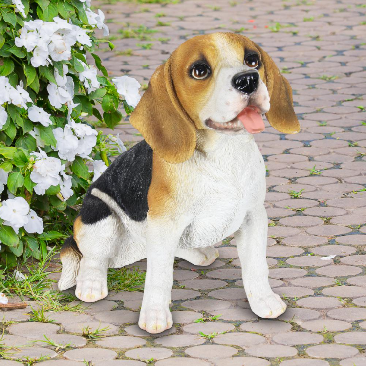 Queen Elizabeth Pocket Beagles Qepb Breed Standard Queen Elizabeth