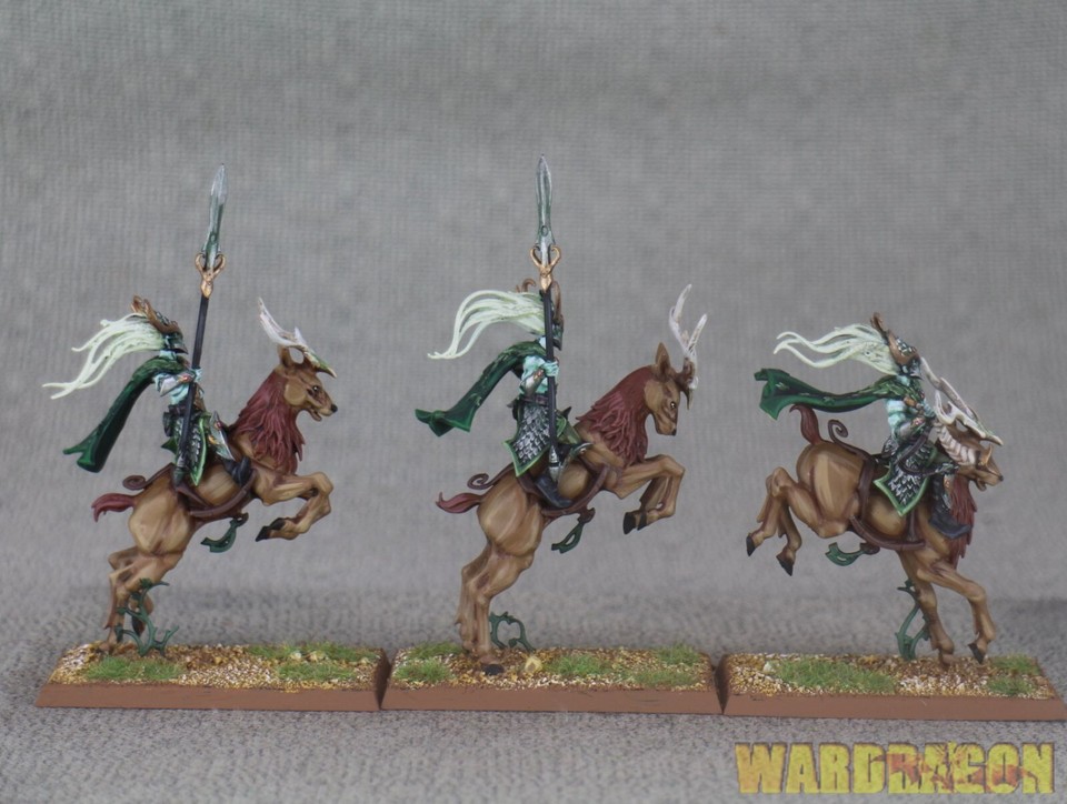 Warhammer AOS WDS painted Wood Elf Wild Riders b45 | eBay