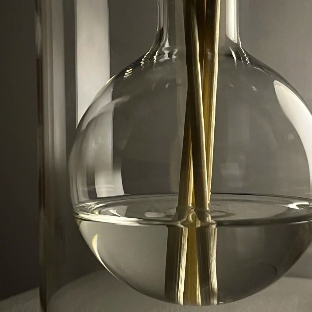 Transparent Diffuser Bottles Aromatherapy Glass Bottle Essential Oil | eBay