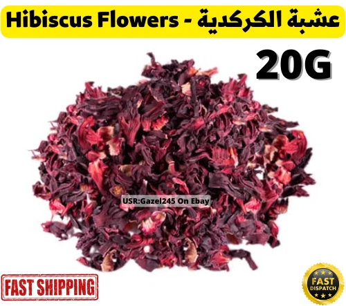 Hibiscus Flower In Arabic | Best Flower Site