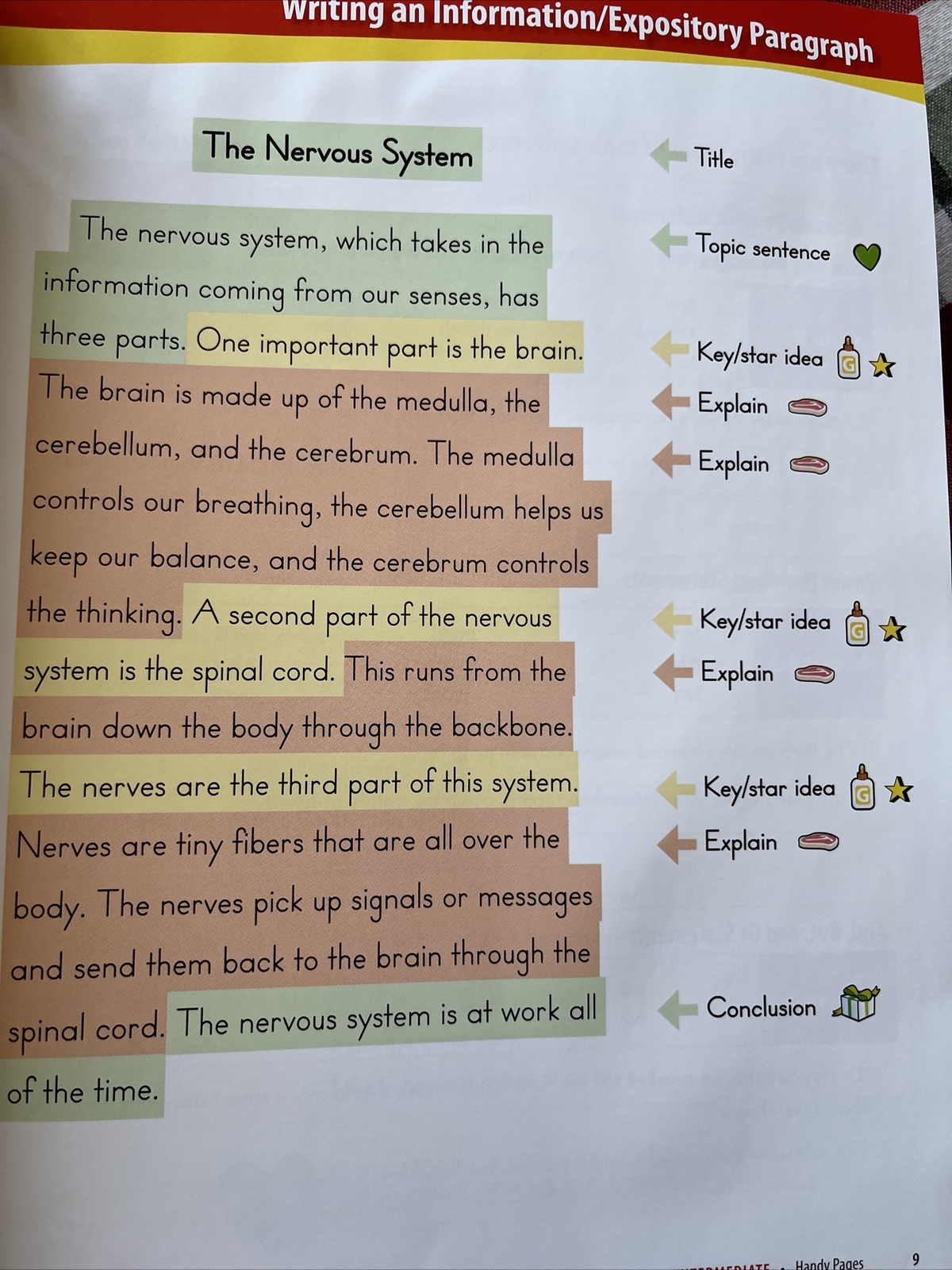 Step up to Writing : Intermediate Handy Pages Set of 10 by Maureen ...
