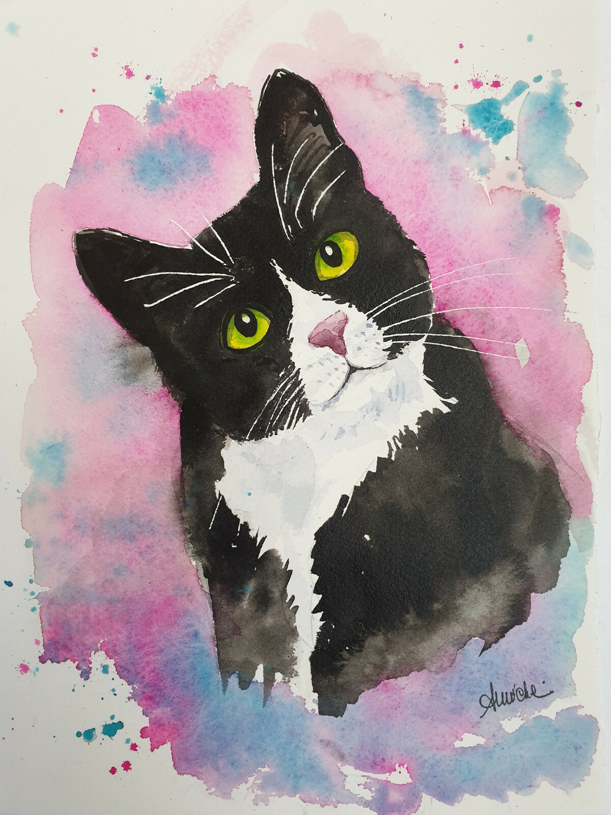Tuxedo Cat Drawing
