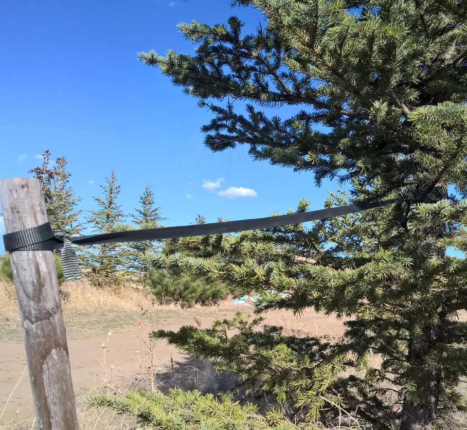 HORTtie Tree Tie Staking & Guying Material, Commercial Grade, Plant ...