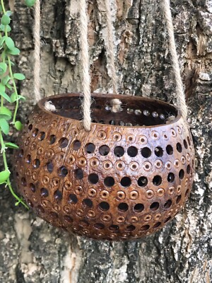 Coconut Shell Hanging Pot Orchid Planter Flower Basket Balcony Garden ...