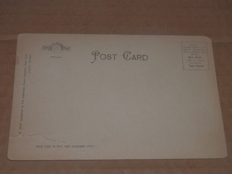 OGDENSBURG NY - 1901-1907 ERA POSTCARD - BIRD'S EYE VIEW NORTH from ...