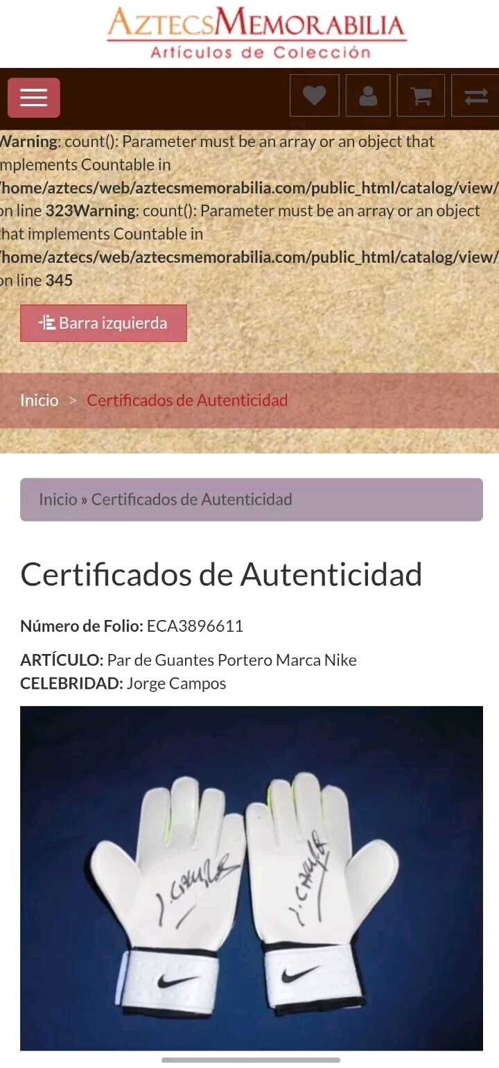 VINTAGE NIKE Goalkeeper Gloves Jorge Campos AUTOGRAPHED | eBay