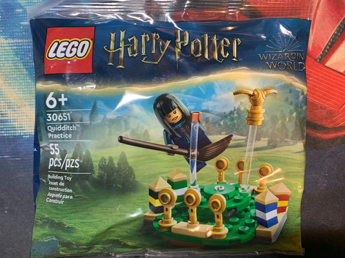 LEGO 30651 HARRY POTTER. Quidditch practice Set In Poly bag New | eBay