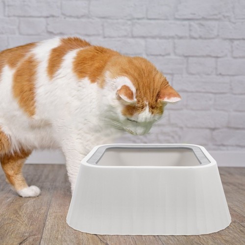 Bol De Compagnie Histique Chargeur Pour L'Animal Bols D'eau Chien | eBay