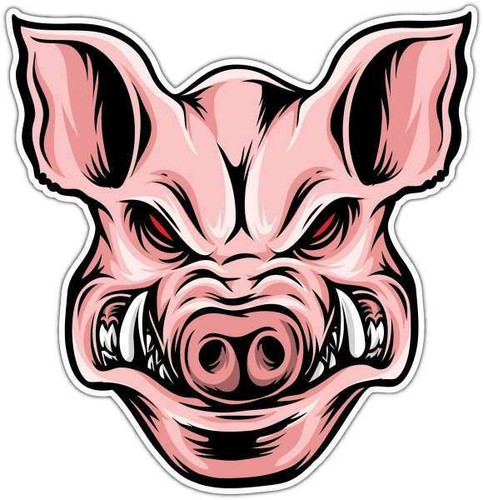 Pig Angry Face Hog Boar Farm Animal Car Bumper Window Sticker Decal 4.6 ...