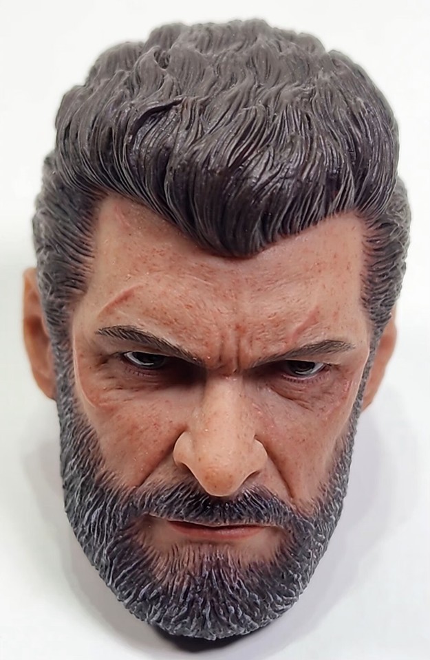 1/6 Wolverine Logan Wolf Head Sculpt Angry MEAN FACE Bloody SCRATCHES 1 ...