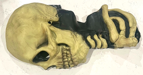 Vintage 1997 Halloween Skull Skeleton Latex Mask with Neck The Paper ...