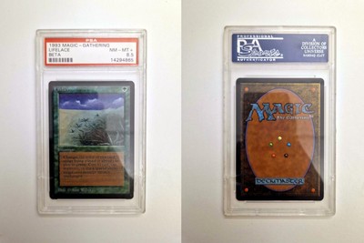 MTG Lifelace Beta PSA 8.5 - FAST SHIPPING! | eBay