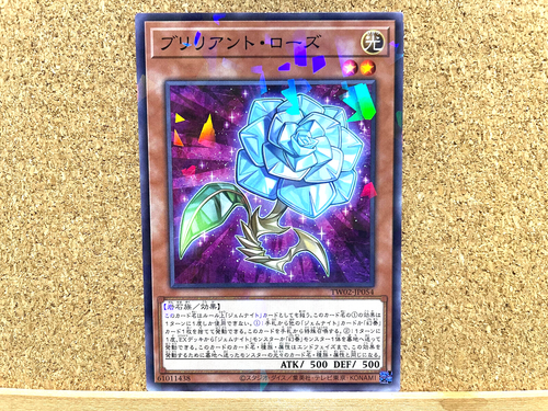 Yu-Gi-Oh! TCG Brilliant Rose TW02-JP054 Normal Parallel Japanese USED | eBay