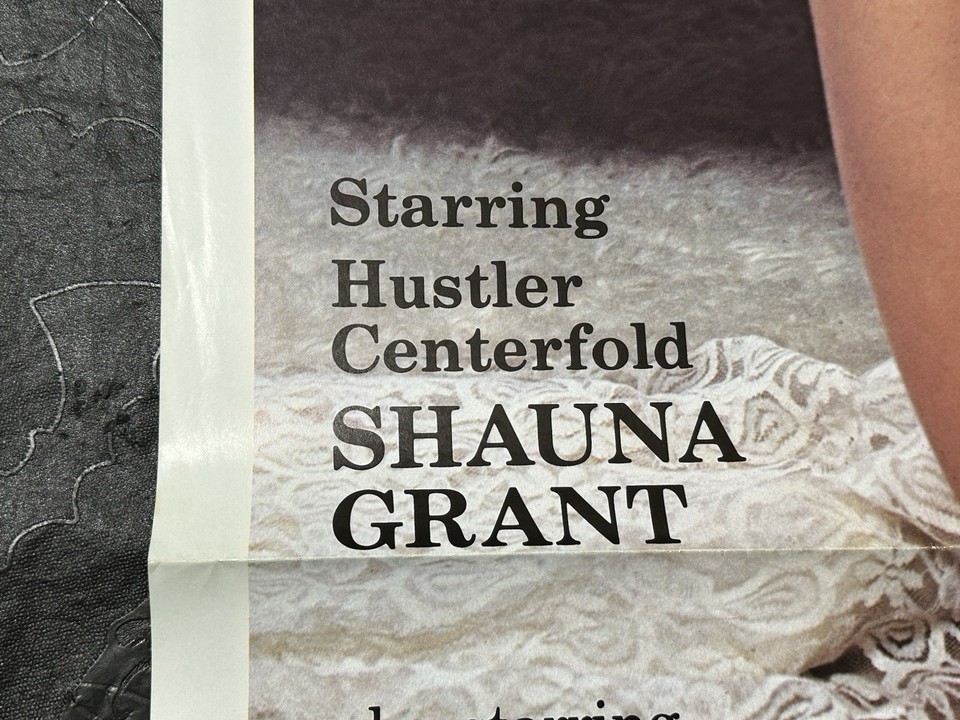 Private School Girls Original Movie Poster 1983 Shauna Grant ...