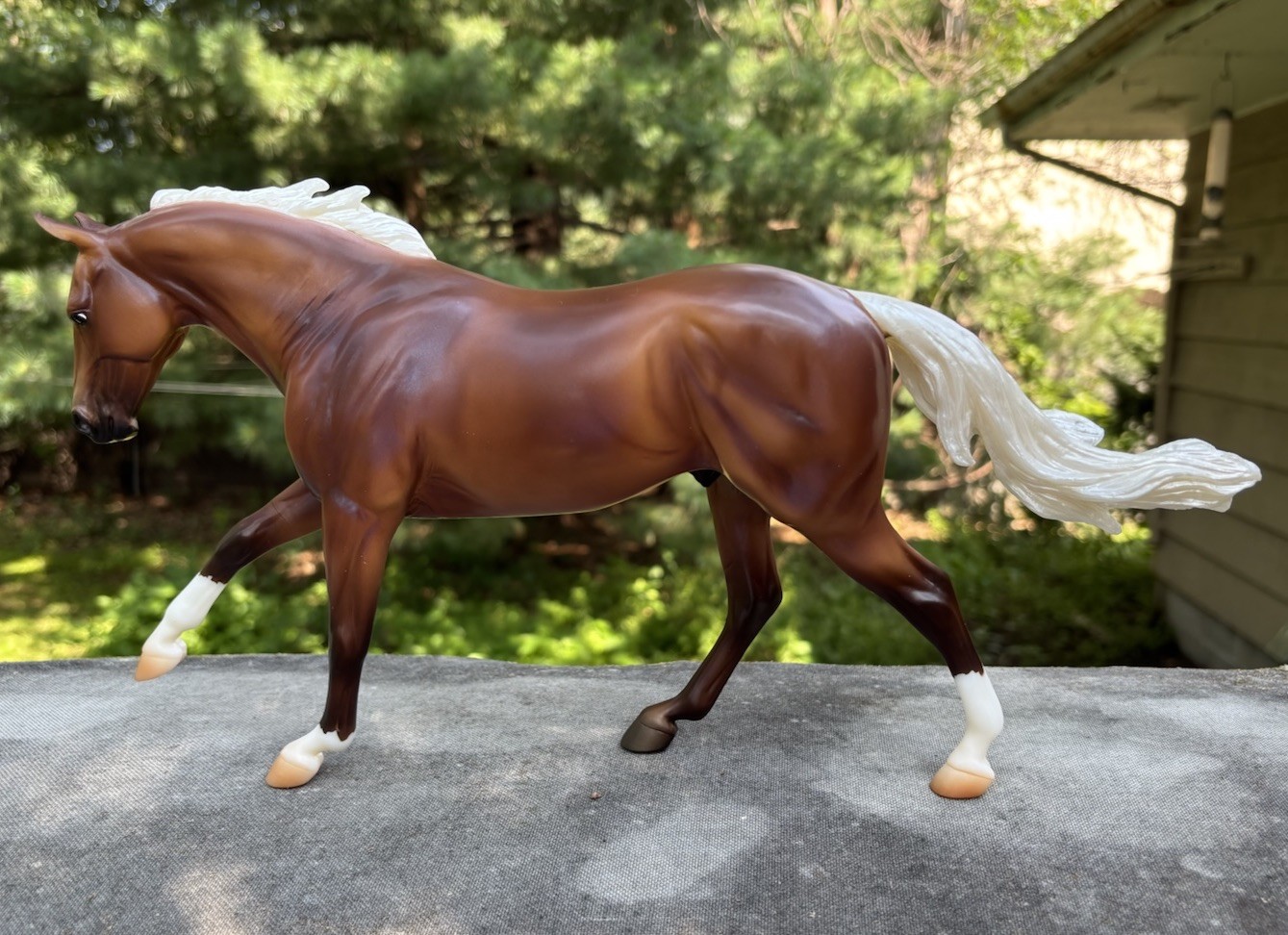 Breyer 760249 Romeo Flagship Dealer Horse for 2022 Dundee Mold | eBay