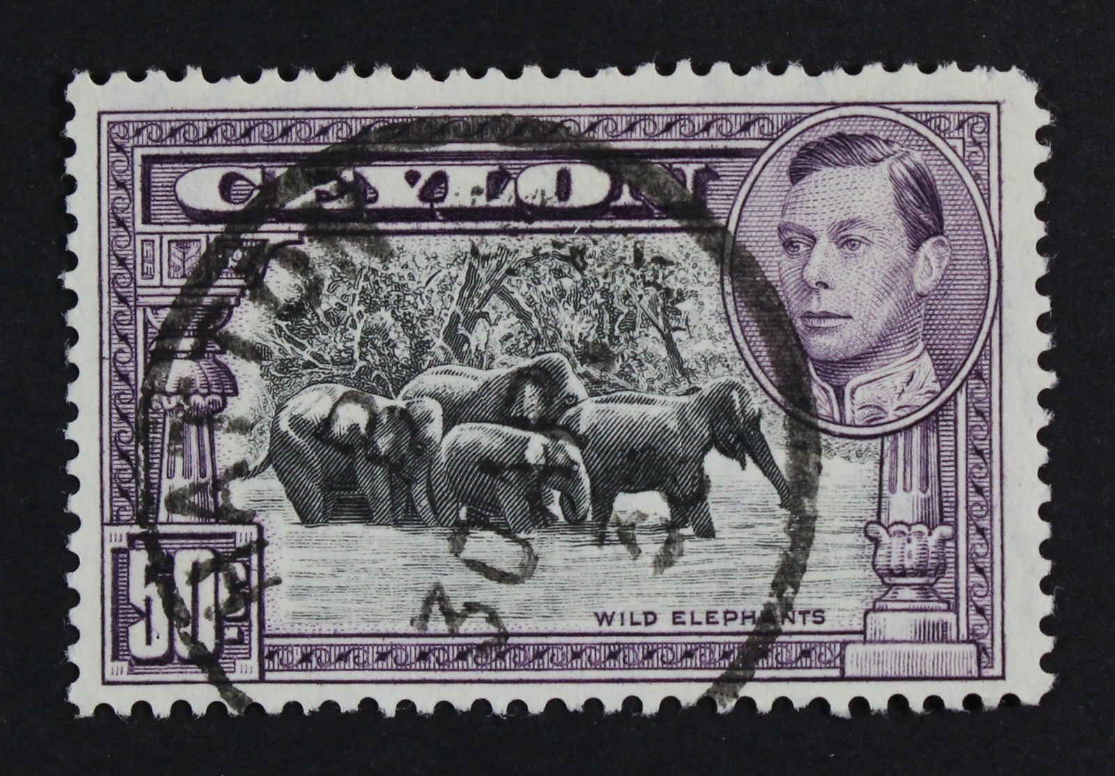 CKStamps: Ceylon Stamps Collection Scott#286a Used | eBay