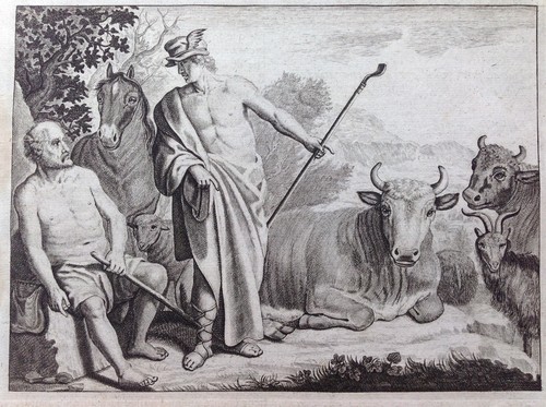 Mercurio e le vacche mitologia greca acquaforte XVIII sec Metamorfosi ...