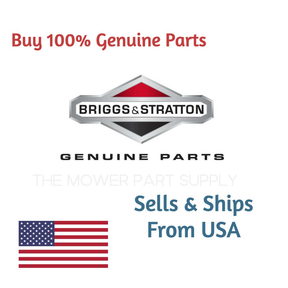 Intake Gasket 795123 Genuine Briggs & Stratton OEM | eBay