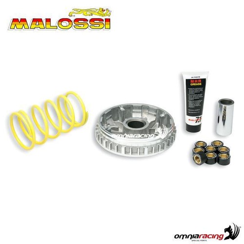 Malossi multivar 2000 variator Italjet Jupiter 250 4T | eBay Australia