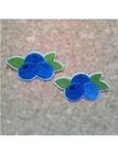 Fruit - Blueberry - Blueberries - Maine - Crafts - Iron On Patches ...