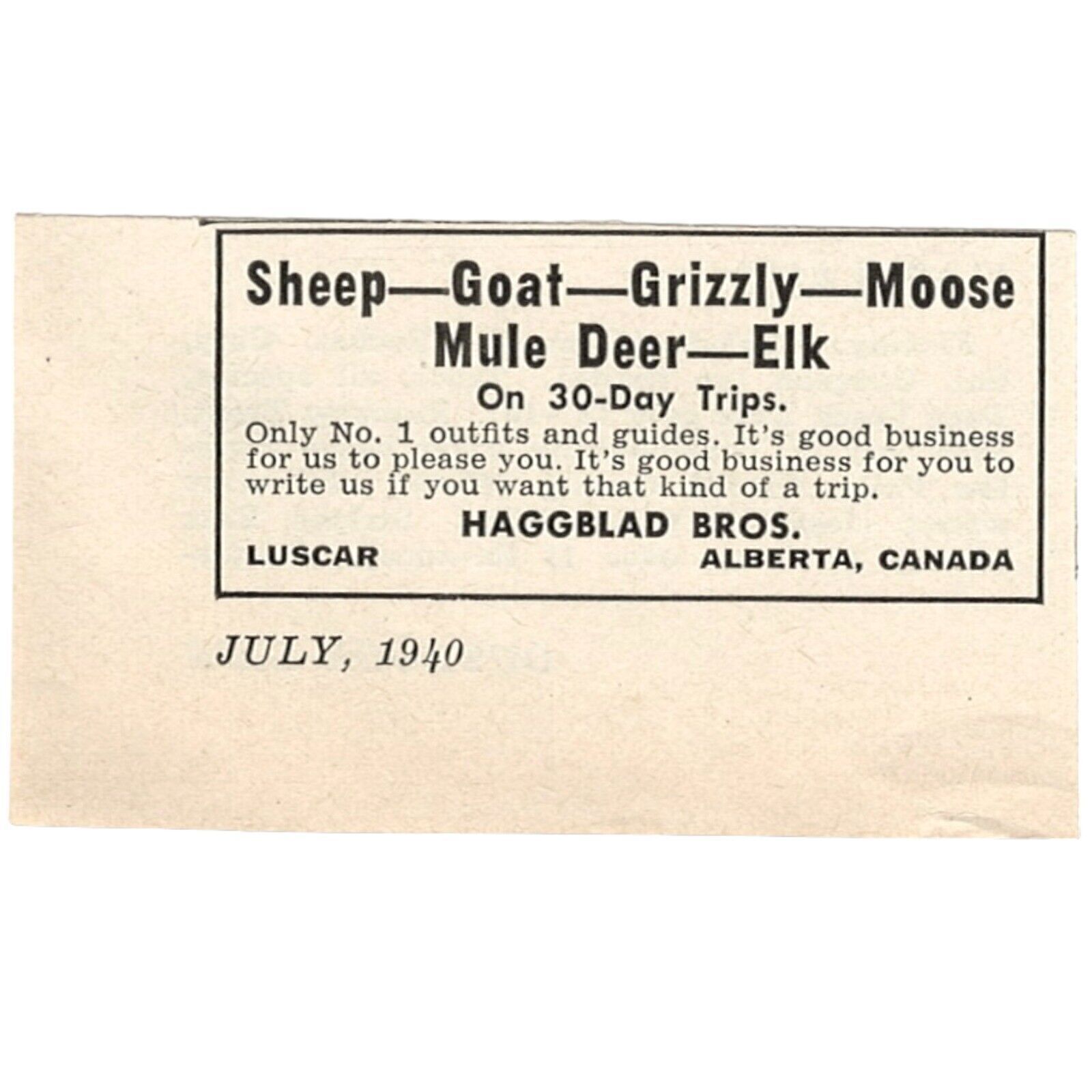 BIG GAME HUNTING HAGGBLAD BROS 1940 AD ALBERTA CANADA GUIDES LUSCAR ...