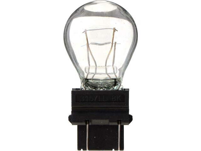 Thinking Sly Bulb